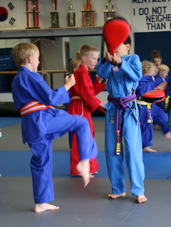 Youth Martial Arts Classes Seattle | Family Black Belt Academy, Queen ...